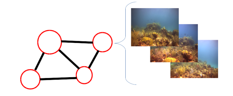 Topological Visual Mapping Of Underwater Environments For Human Robot Navigation Robotics